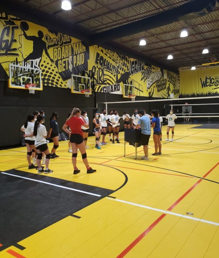 VOLLEYBALL SETUP – JUNGLE COURTS