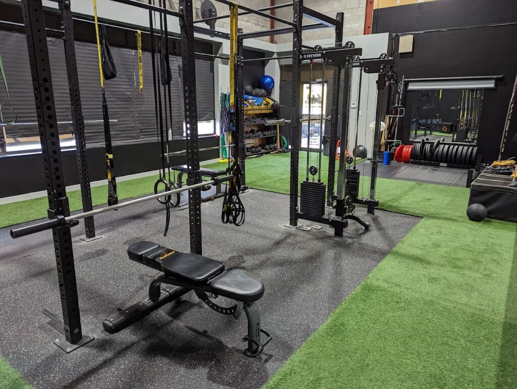TRAINING ROOM – JUNGLE COURTS
